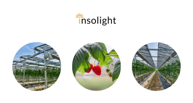 Insolight | Agrivoltaic installations | Agri PV